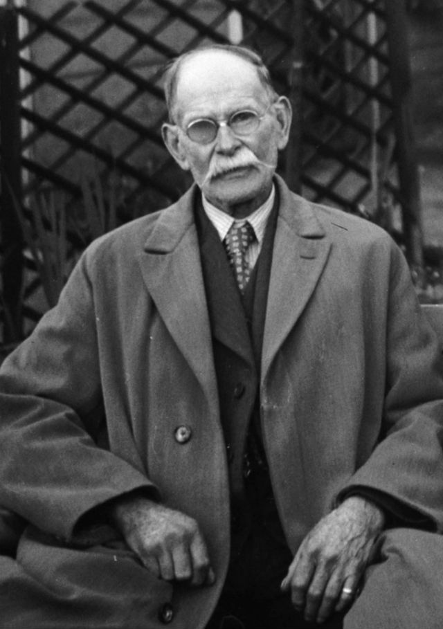 Jeckyll and the sunflower motif | COLONEL UNTHANK'S NORWICH