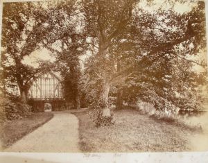 Thomas Jeckyll & the Boileau Family | COLONEL UNTHANK'S NORWICH