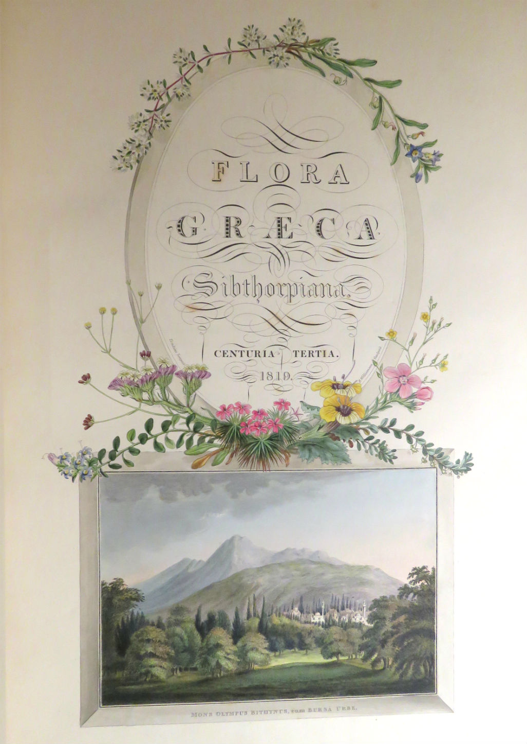 When Norwich was the centre of the world* | COLONEL UNTHANK'S NORWICH