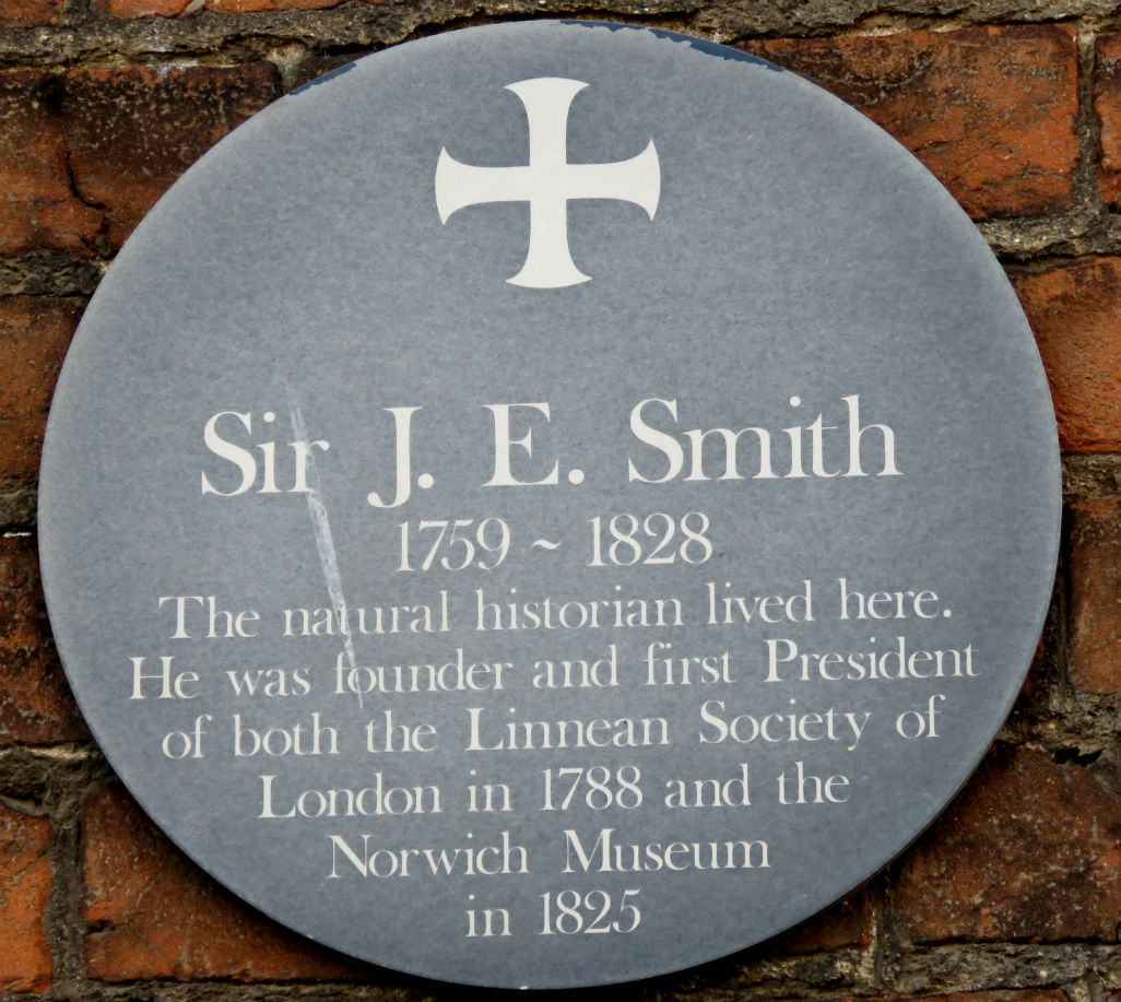 When Norwich was the centre of the world* | COLONEL UNTHANK'S NORWICH