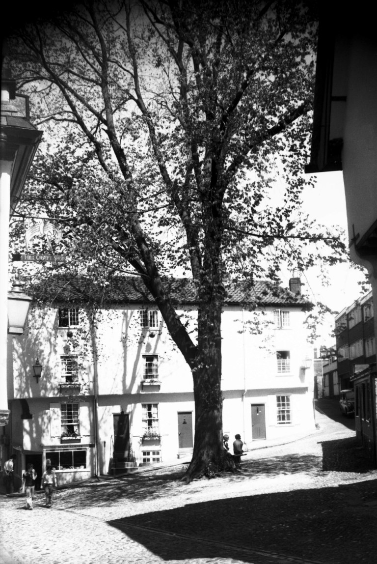Norwich: City of Trees | COLONEL UNTHANK'S NORWICH