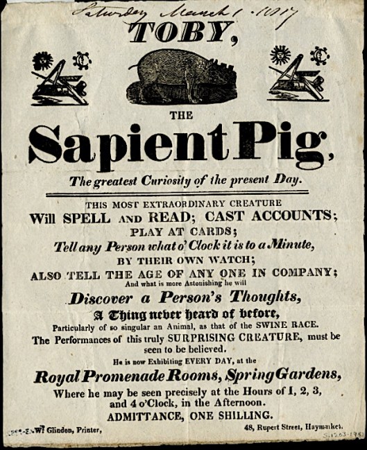 Parson Woodforde and the Learned Pig | COLONEL UNTHANK'S NORWICH