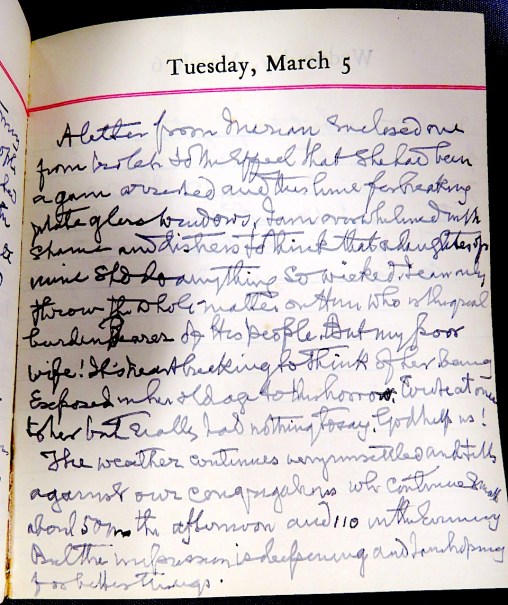 Female Suffrage in Norwich | COLONEL UNTHANK'S NORWICH